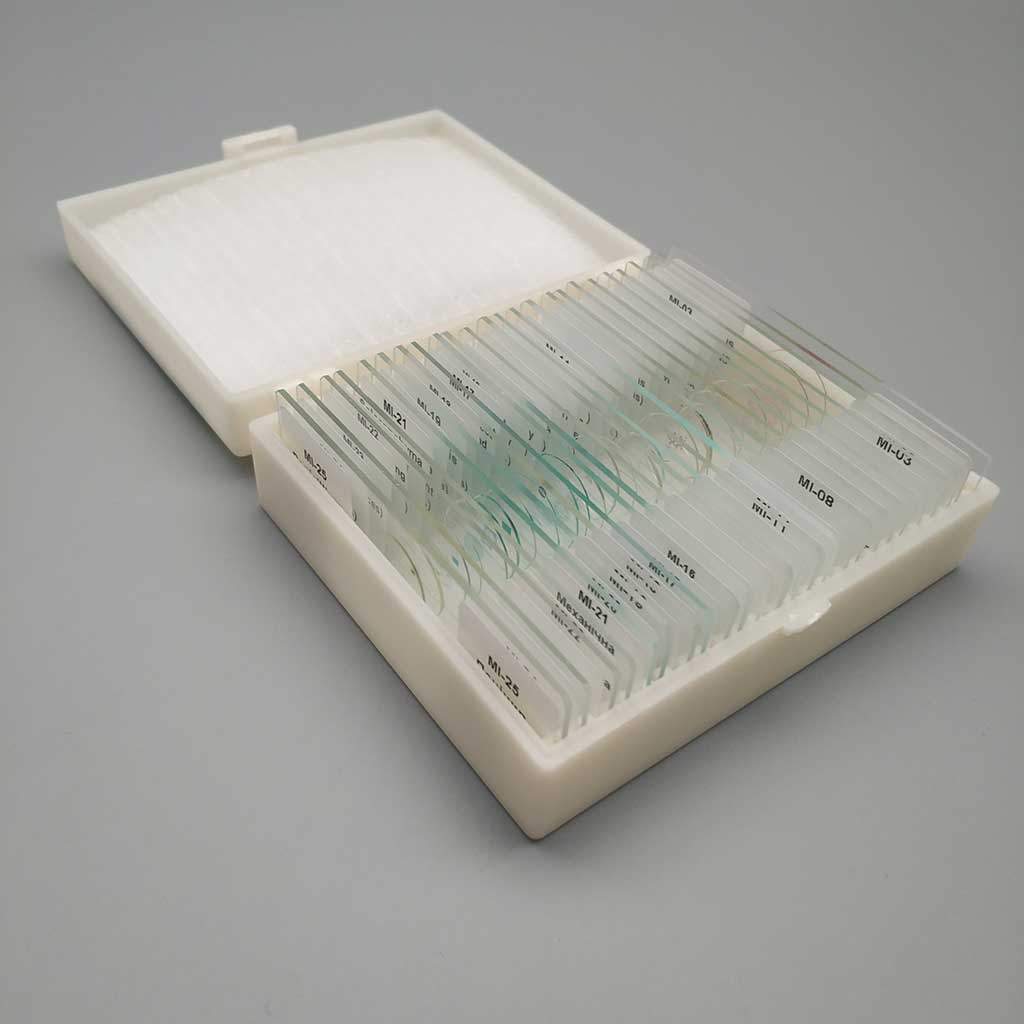 Happy Science General Biology Prepared Microscope Slides Set for Sale ...