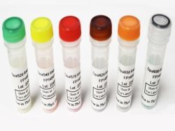 Akoya Biosciences Opal Fluorophore Reagent Packs for Sale - Gaia ...